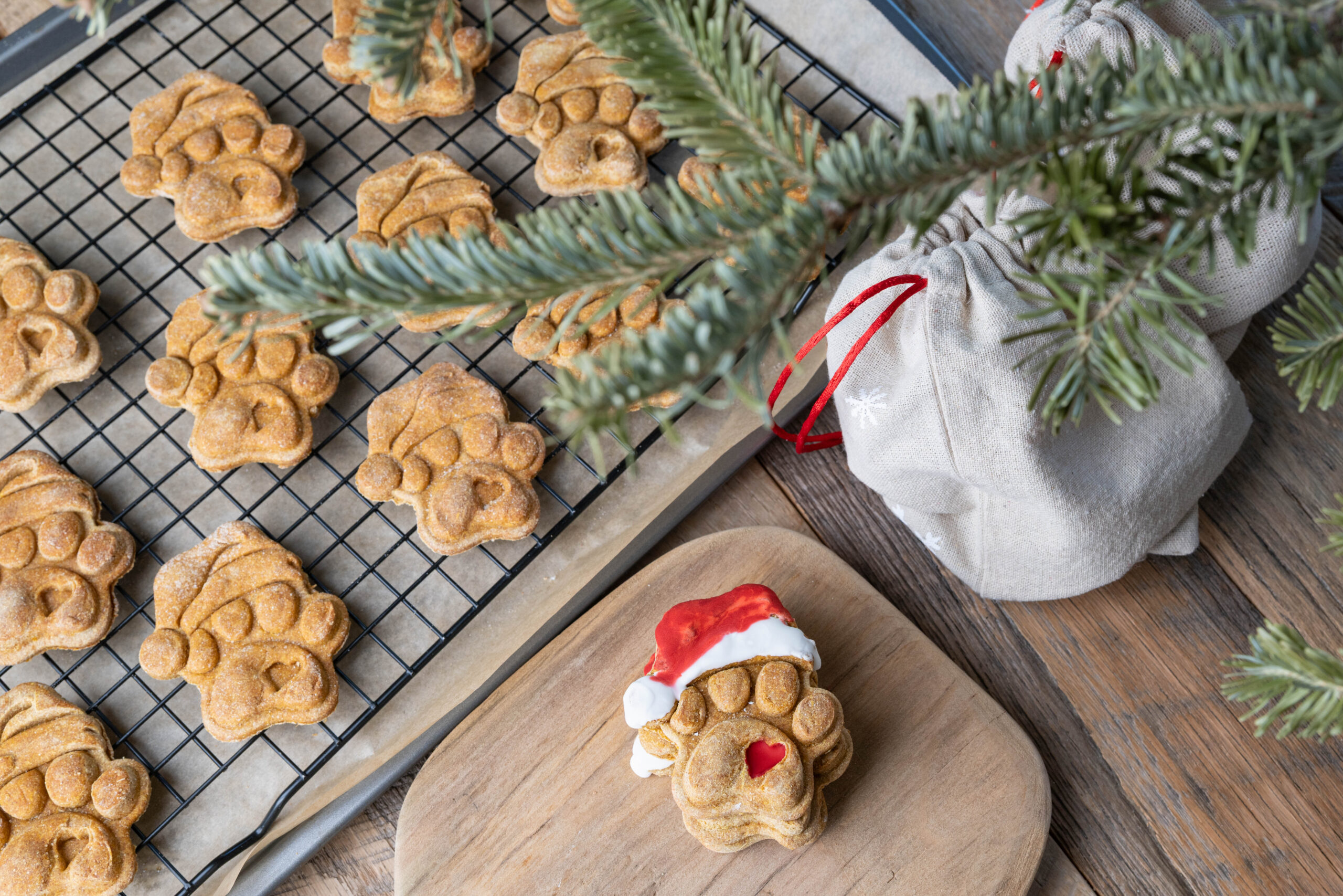 Why High-Protein Ingredients Are a Game Changer in Canadian Pet Treats ...